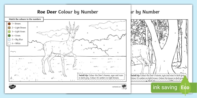 FREE! - Roe Deer Colour by Number Pages (teacher made)