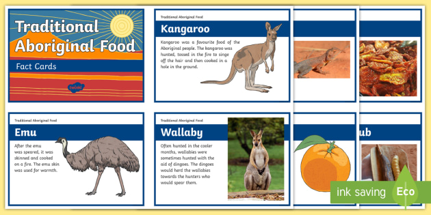 Traditional Aboriginal Food Fact Cards - Aboriginal food