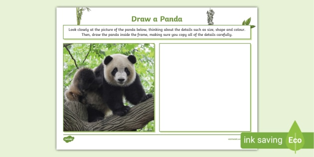Draw a Panda Art Activity (teacher made)