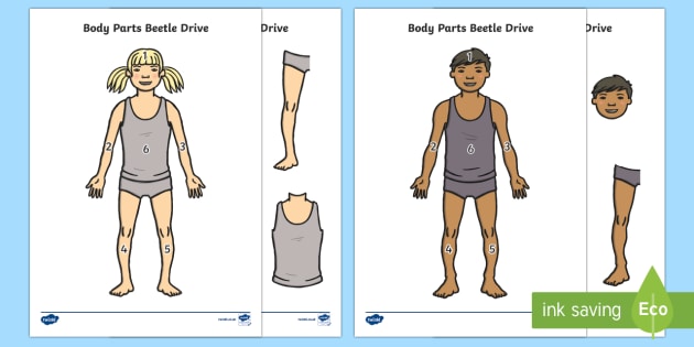 Body Parts Beetle Drive Game (Hecho por educadores)