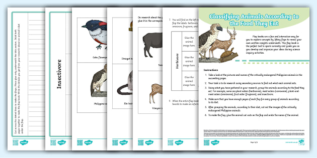 Classification Resources | twinkl.ca