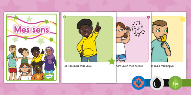 My Senses Emergent Reader French (teacher made)