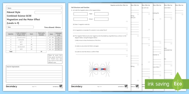Edexcel-Style GCSE Combined Science Test: Magnetism and the Motor Effect
