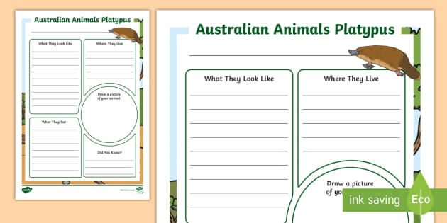 Australian Animals Platypus Template Report - Twinkl