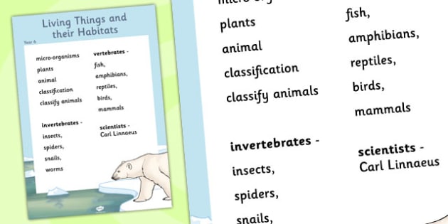 Year 6 Living Things their Habitats Scientific Vocabulary Poster