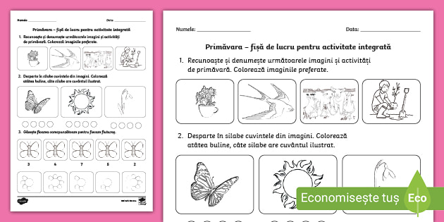 Primăvara - Activitate integrată pentru grupa mare | Twinkl