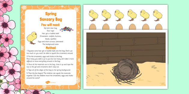 Spring Sensory Bag (teacher made)