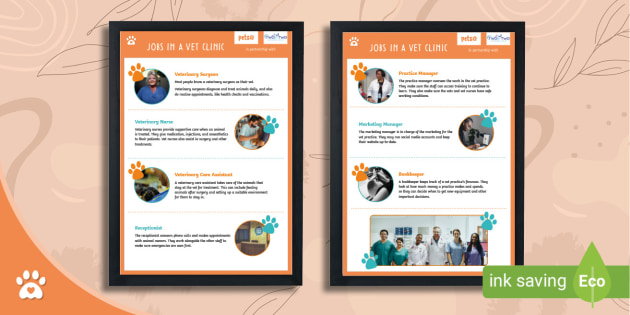 FREE! - Jobs in a Vet Practice - Display Poster - Vets - Twinkl Pets