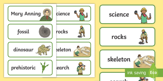 Mary Anning Word Cards (teacher made)