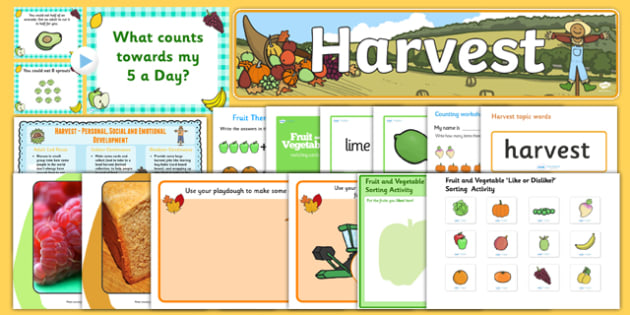 Early Years Harvest Teaching Pack (teacher made)
