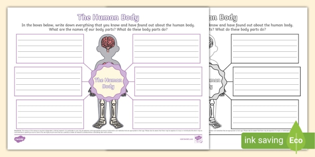 Human Bodies Mind Map | twinkl.com.au