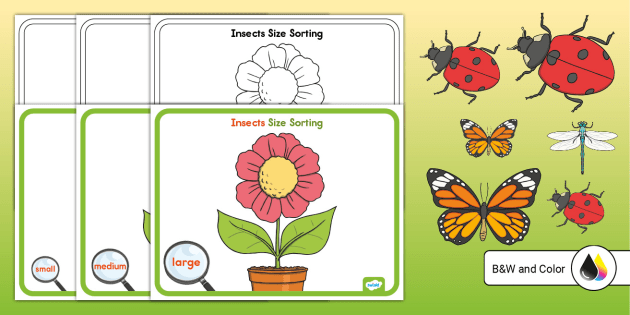 Kindergarten All About Insects Trifold File Folder Activity