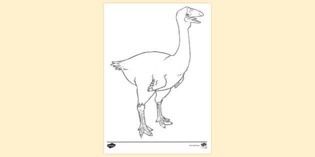Genyornis Colouring | Colouring Sheets