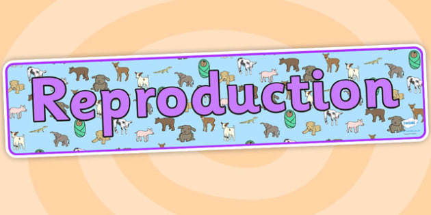 FREE! - Reproduction Animals Display Banner (teacher made)