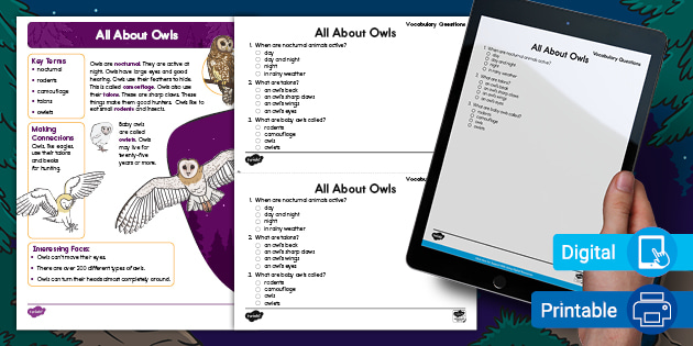 Kindergarten Owls Fact File | ELA | Twinkl USA