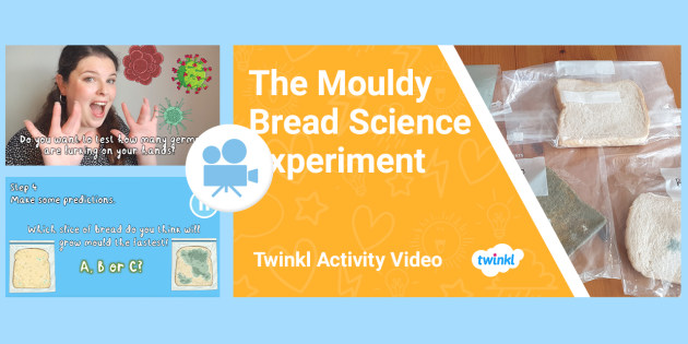 FREE! - KS2 (Ages 7-11) Activity Video: Mouldy Bread Experiment