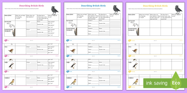 Describing British Birds Differentiated Worksheet / Activity Sheets - KS1