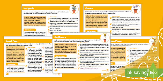 Gardening with Children - Easy to Grow Flowers