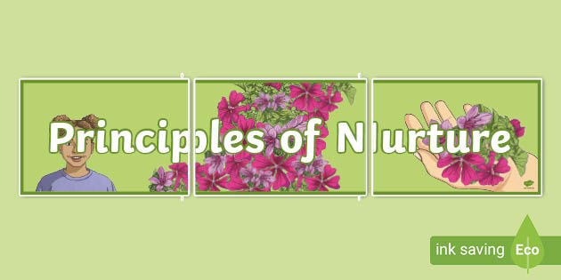 Principles of Nurture Display Banner (teacher made)