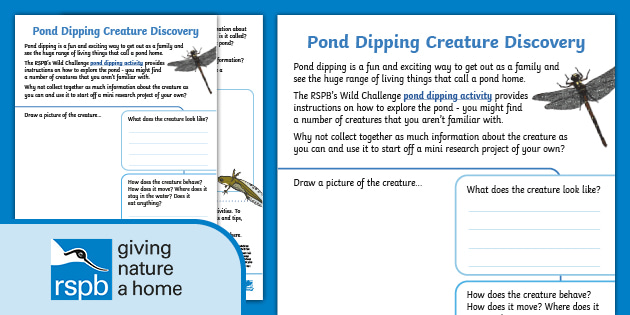Pond Dipping Creature Discovery (Ages 5 - 7)