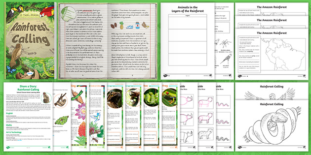 Rainforest Ebooks | twinkl.com.au