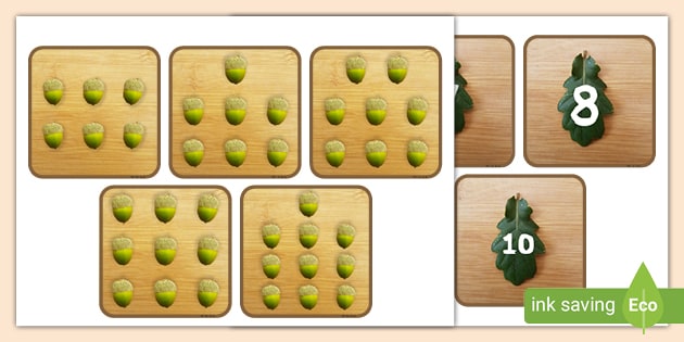 Nature-Themed Subitising 6 - 10 Challenge Cards