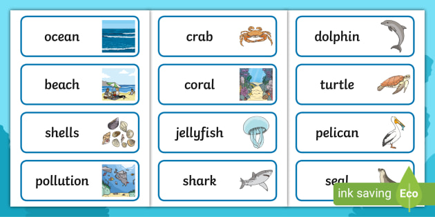 World Ocean Day Word Cards - Lower Primary (teacher made)
