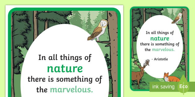 Woodland Creatures Inspirational Quote by Aristotle Poster