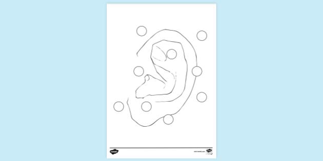 FREE! - Vibrations Reach The Ear Colouring Sheet | Colouring Pages
