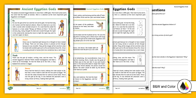 Fifth Grade Reading Passages | twinkl.com