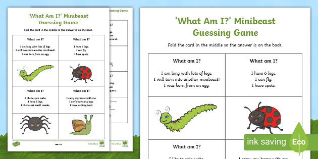 What Am I? Minibeast Guessing Game (teacher made)