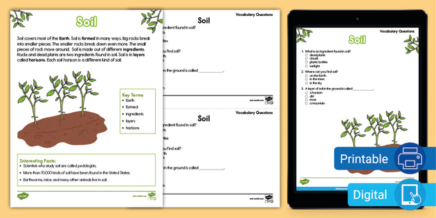 First Grade Soil Fact File and Vocabulary Questions