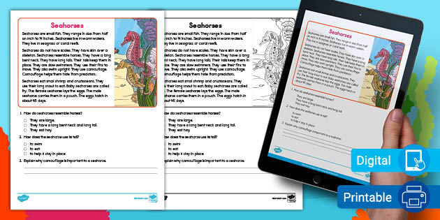 Second Grade Seahorses Reading Comprehension Activity