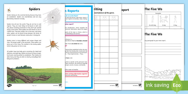 Report writing lesson plan pack for Third/Fourth Class
