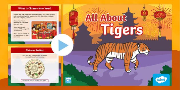 EYFS All About Tigers Chinese New Year PowerPoint