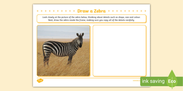 Draw a Zebra Art Activity (teacher made)
