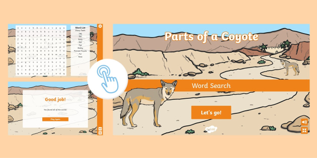 Part of a Coyote Word Search (teacher made)