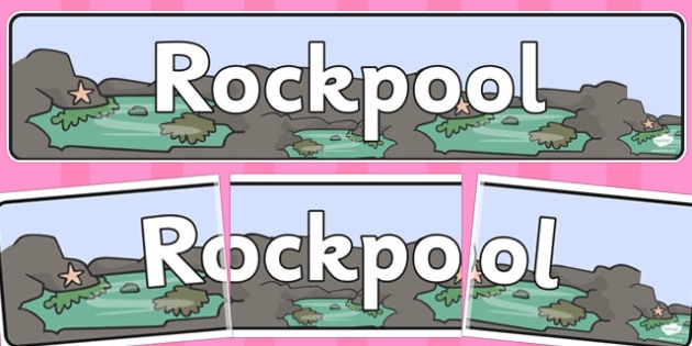 Rock Pool Themed Display Banner - rock pool, display banner
