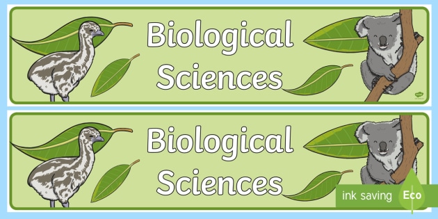Biological Sciences Display Banner (teacher made)