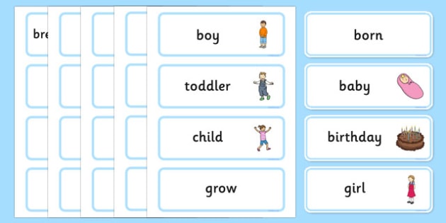 Human Life Cycle Vocabulary Cards