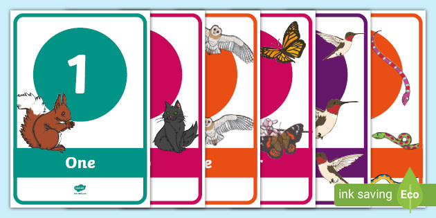 Animal Themed Visual Number Line 0 - 20 Display Posters
