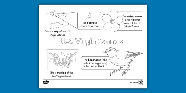 west virginia state bird coloring page