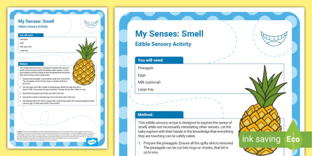 * NEW * My Senses Smell Edible Sensory Recipe (teacher made)