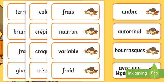 Cartes de vocabulaire sur l'automne (teacher made)