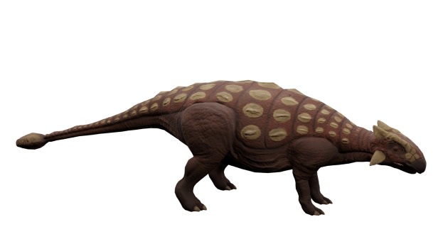 3D Model: Ankylosaurus in Augmented Reality (AR)