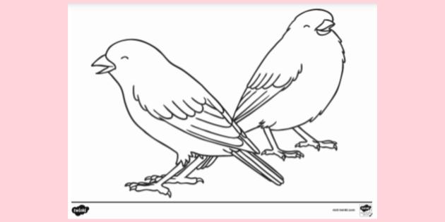 Bird Colouring Sheet | Colouring Sheets