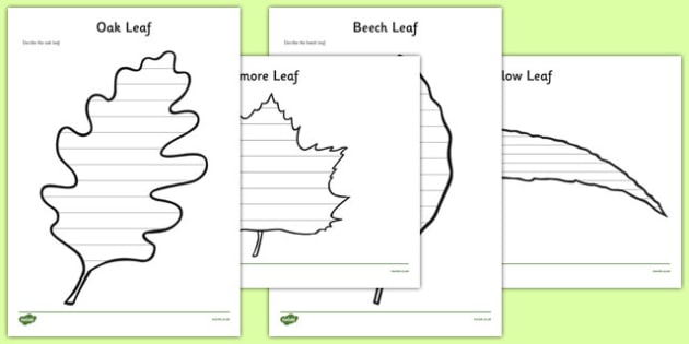 Leaf Themed Review Worksheet / Worksheet Pack (teacher made)