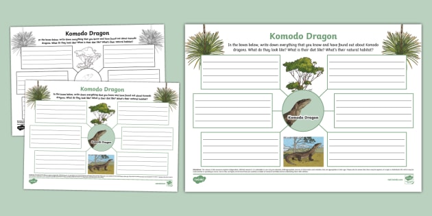 Komodo Dragons Biology | twinkl.co.uk
