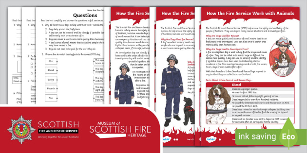 Fire Service Courses | twinkl.com.au