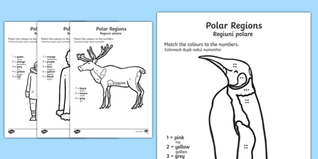 Polar Regions Colour by Number Counting Worksheet / Worksheet
